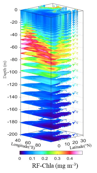 3d Ocean Chlorophyll A Structure In The Northern Indian Ocean Dataset Global Marine Ecological
