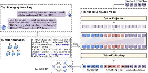 Figure 1 From Prompt Based Generation Of Natural Language Explanations Of Synthetic Lethality