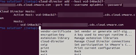 Developing Extensions For VMware Cloud Director Service With Cloud Director Extension SDK