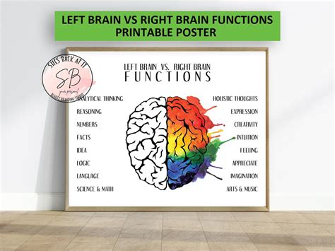 Left And Right Brain Functions Printable Poster Brain Anatomy Wall