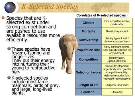 Human Population Dynamics Ppt Download