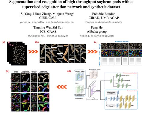 Figure 1 From Segmentation And Recognition Of High Throughput Soybean