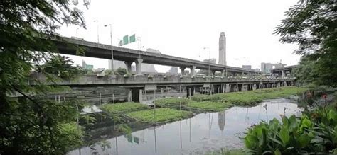 โครงการบำบัดน้ำเสียโดยใช้พืช บึงมักกะสัน กรุงเทพมหานคร Porpeang