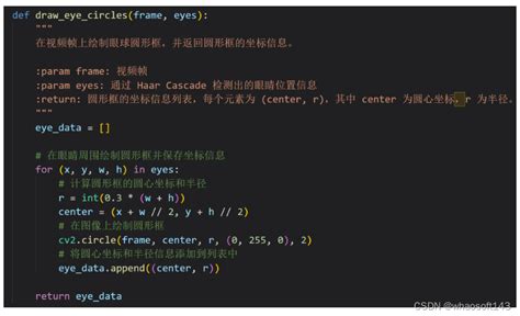眼动追踪pypython 眼动仪 Csdn博客