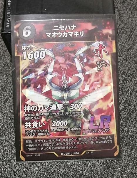 Amazon Co Jp Lr