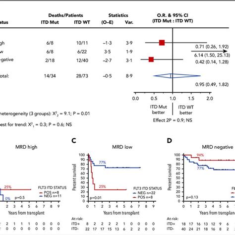 Os From Date Of Transplant According To Pretransplant Molecular Mrd Download Scientific Diagram