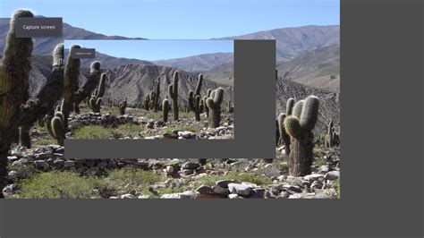Screen Capture Not Working Android And Ios · Issue 16694 · Godotenginegodot · Github