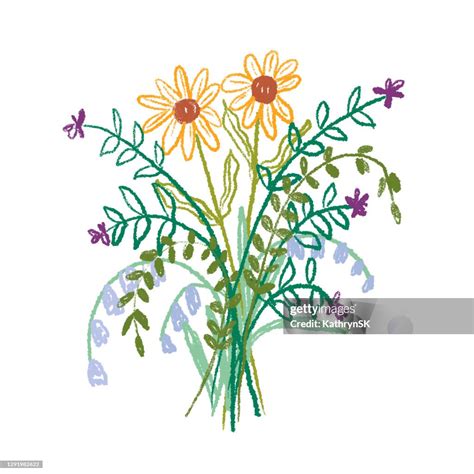 Wildflower Bouquet Drawing High Res Vector Graphic Getty Images