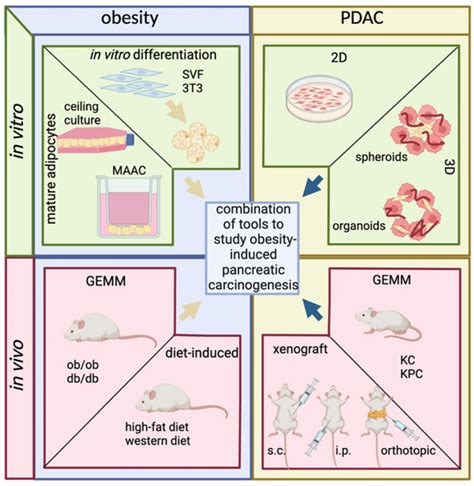 Decipher Textmessage Scam Westanswers