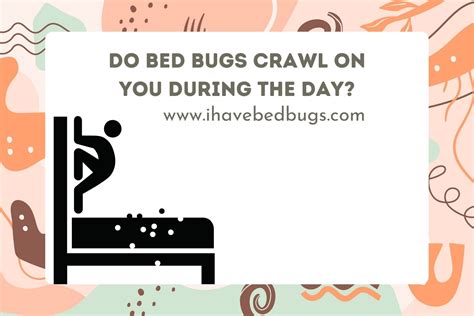 Do Bed Bugs Crawl On You During The Daytime
