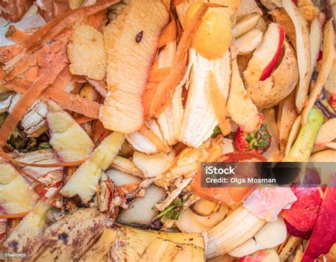 바이오 폐기물 용기 과일과 채소 바나나 감자 사과 쓰레기 분류 쓰레기 분류 쓰레기 배경 유기 음식물 쓰레기 배경을 포함한 주방 음식 찌꺼기 0명에 대한 스톡 사진 및 기타