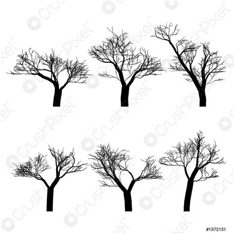 Set Of Black Naked Trees Silhouette Set Hand Drawn Isolated Stock