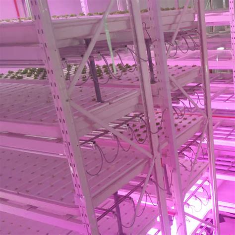 Polystyrene Floating Rafts Hydroponics Floating Raft Floating Raft Xps Board And Floating Raft