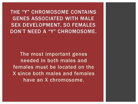 Sex Linked Traits Ppt Download