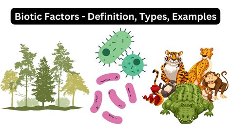 Biotic Factors Abiotic And Biotic Factors Of Different Biomes