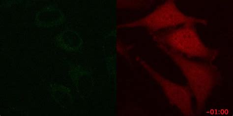 Md Mahmudul Hasan Posted On Linkedin