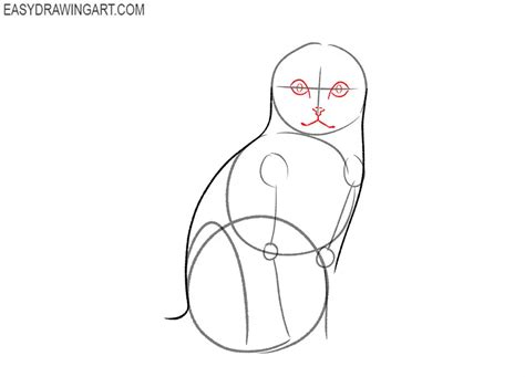 How To Draw A Sitting Cat Easy Drawing Art