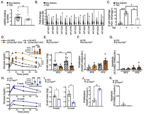Private Medical On Linkedin Retrograde Mitochondrial Signaling Governs The Identity And