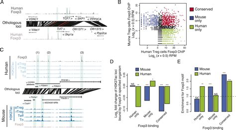 Figures And Data In Genetic And Epigenetic Variation In The Lineage Specification Of Regulatory