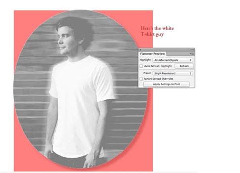 Viewing Transparency Issues