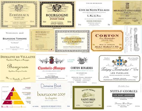 Behind The Label Vol 3 Bourgogneburgundy Between 2 Worlds