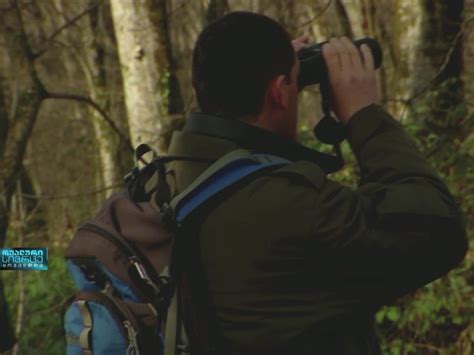 როგორ იცავენ რეინჯერები საქართველოს ველურ ბუნებას ბრაკონიერებისგან