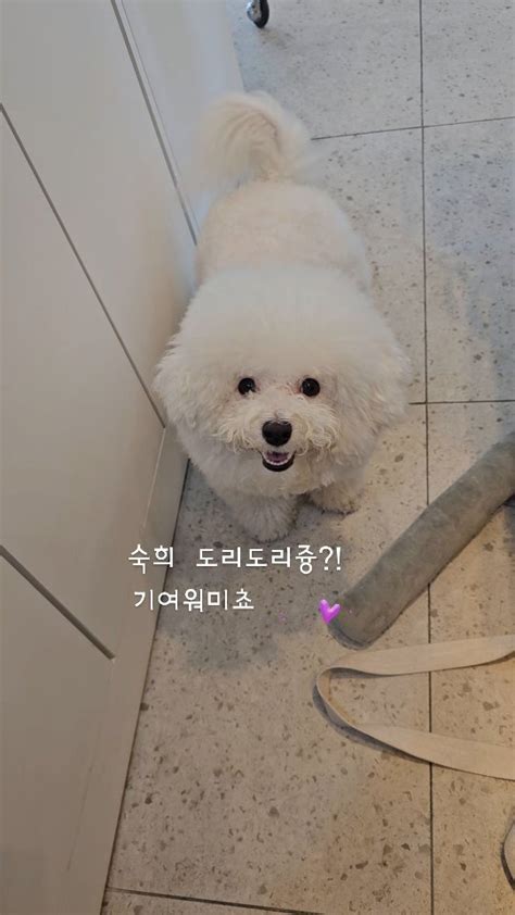 더헤담 임나린 원장 부산전포동미용실 첫줄안녕 닥터본모 두피샴푸 ️프로패셔널 샴푸500ml ️릴렉스 샴푸500ml ️스칼프