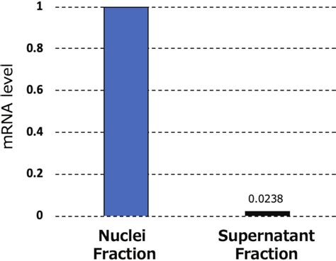 Figure 3 From Isolation Of Adipose Tissue Nuclei For Single Cell Genomic Applications