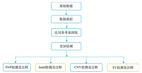 动植物基因组重测序