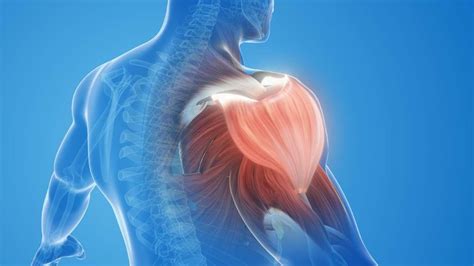 Minimally Invasive Hip Replacement Pros And Cons Explained