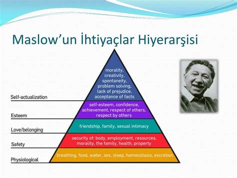 Th P Nhu C U Maslow Trong Marketing Chi N L C Hi U Qu Web Chuy N Nghi P