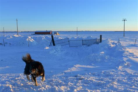蒙古图片素材 蒙古设计素材 蒙古摄影作品 蒙古源文件下载 蒙古图片素材下载 蒙古背景素材 蒙古模板下载 搜索中心