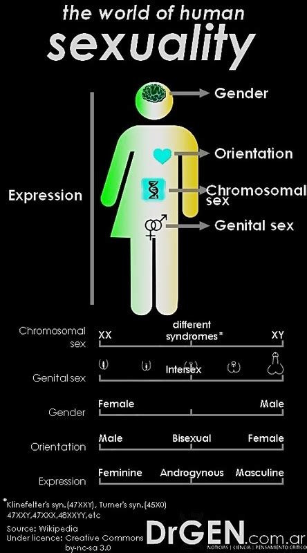 Human Sexuality Hannahs Health Web Site