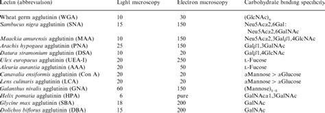 Carbohydrate Binding Specificity Of Lectins Concentration µg Ml Download Table