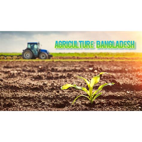 কৃষিতথ্য এবং পরামর্শকেন্দ্র এজিক এগ্রো লিঃ পেঁয়াজের অন্তবর্তীকালীন পরিচর্যা পেঁয়াজের জমিতে