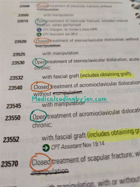 Medical Coding Training Learn The Basics