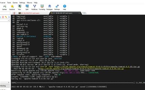 Installing Tomcat On An Ec2 Instance Dev Community 👩‍💻👨‍💻