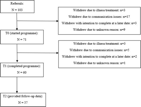 Flowchart Of Referrals Flow Of Referrals Indicating Uptake Of MOVE Download Scientific Diagram