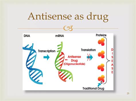 Antisense Rna Technology Pptx