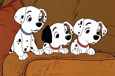 Nombres Para Perros De La Película 101 Dálmatas Blog Sobre Perros