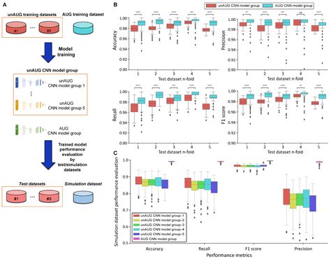 A Deep Learning Approach With Data Augmentation To Predict Novel Spider Neurotoxic Peptides