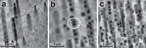 Dislocation Etching Pits On Profile Surface Of Lif Irradiated With 26