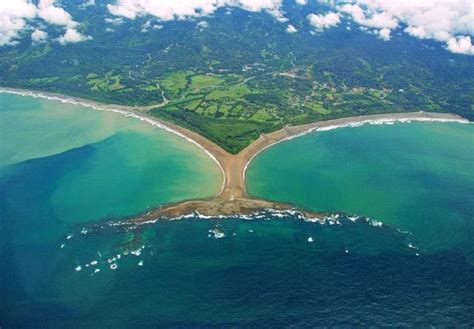 The Costa Ricas Most Famous Whale Tail Tour Operators In Costa Rica