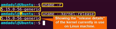 the “uname” command in linux [11 practical examples]