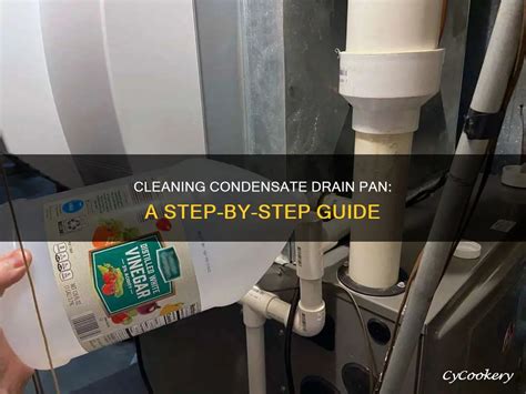 Cleaning Condensate Drain Pan A Step By Step Guide Cycookery
