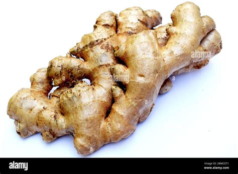 Ginger Root Healing Herb At Caitlin Kelley Blog