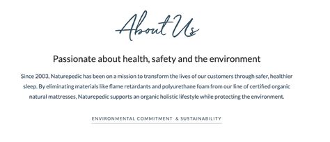 Mission Statement Examples