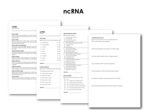 Ncrna Made By Teachers
