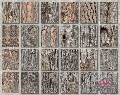 Digital Tree Bark Paper Tree Texture Paper Tree Pattern Backgrounds Tree Skin Paper Bark
