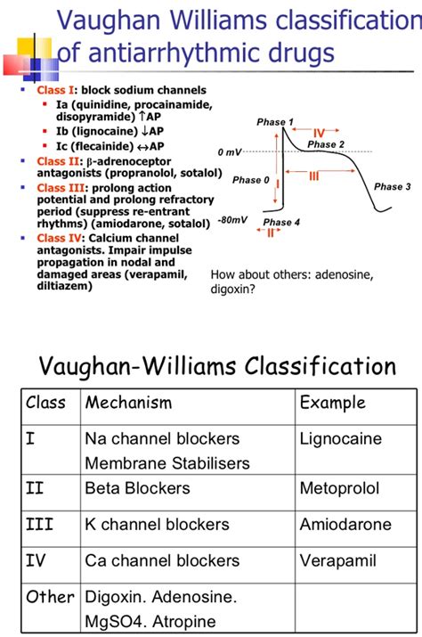 What Are The 4 Classes Of Antiarrhythmic Drugs At Stacey Fox Blog